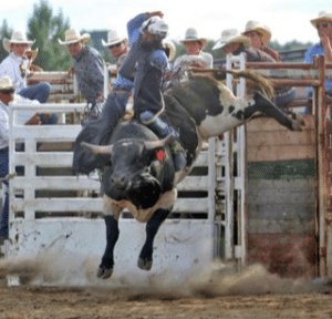 Gallery - Girletz Rodeo Ranch